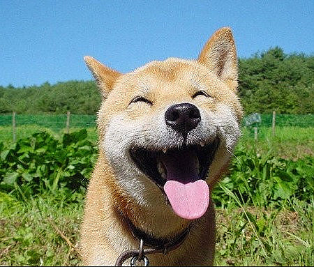 dddddd 1111sasdafasdfasdf asdfasdf asdfasdfzx zxcvzxcvzxcv - Allyson’s ...